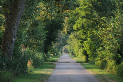 Nationalpark-Gemeinde Andau – Heideboden | Burgenland | Österreich