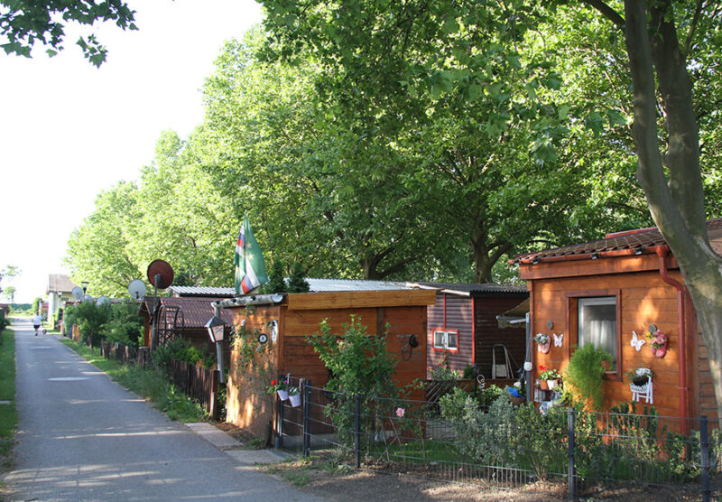 Nationalpark-Gemeinde Andau – Heideboden | Burgenland | Österreich